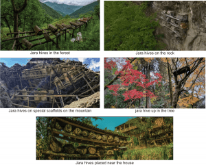 What is Jara Honey from Georgia?