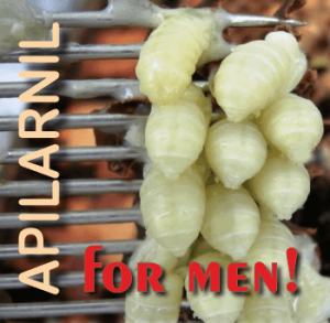 Bee Brood – Apilarnil - Healthy with Honey