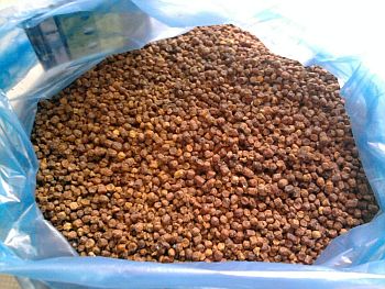 What is bee bread? - Healthy with Honey